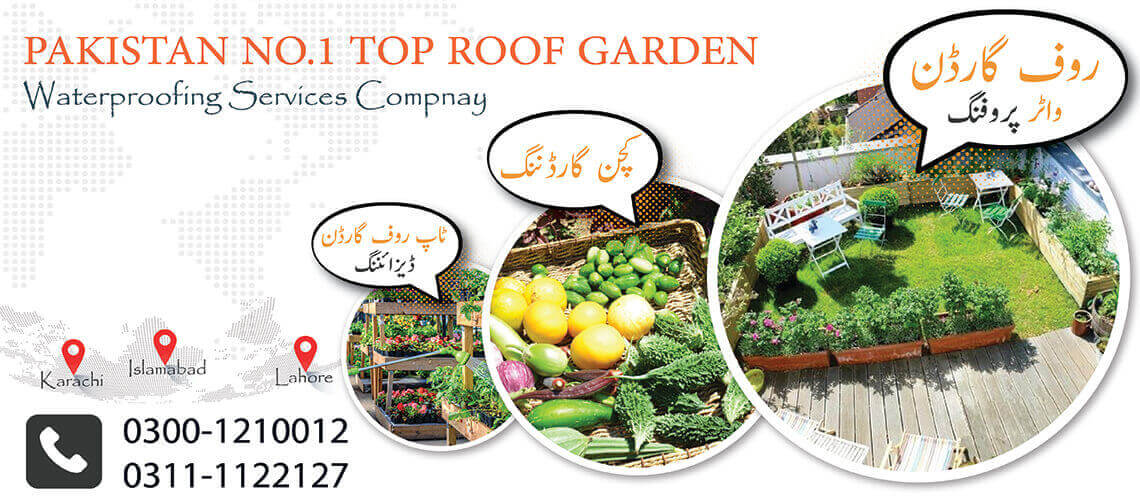 Rooftop Garden In Pakistan | Roof Top Kitchen Garden Lahore