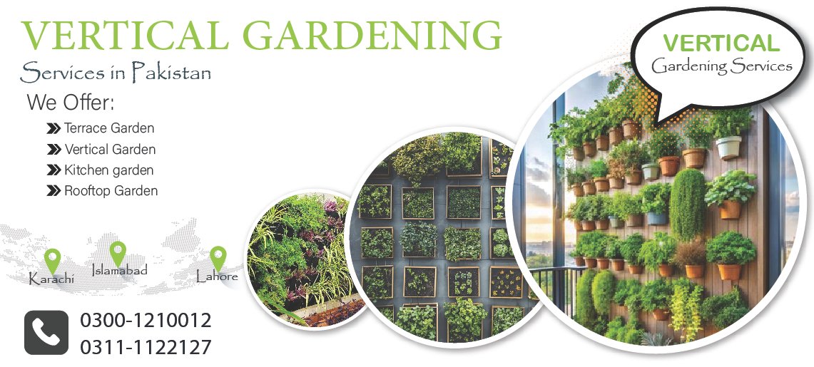 Vertical Garden Services In Pakistan | Green Living